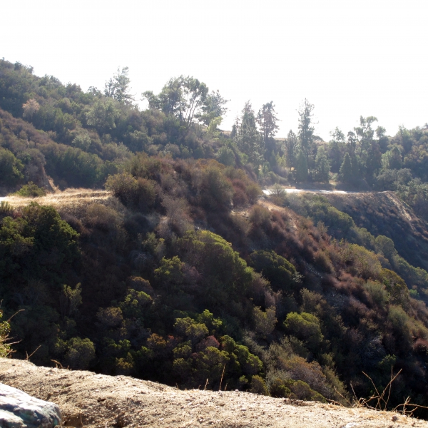 Photo Gallery - Azusa Canyon, Glendora Mountain Road - Los Angeles ...