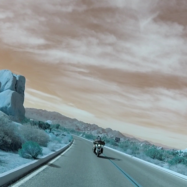 Photo Gallery Joshua Tree - Los Angeles Motorcycle guided tours in ...