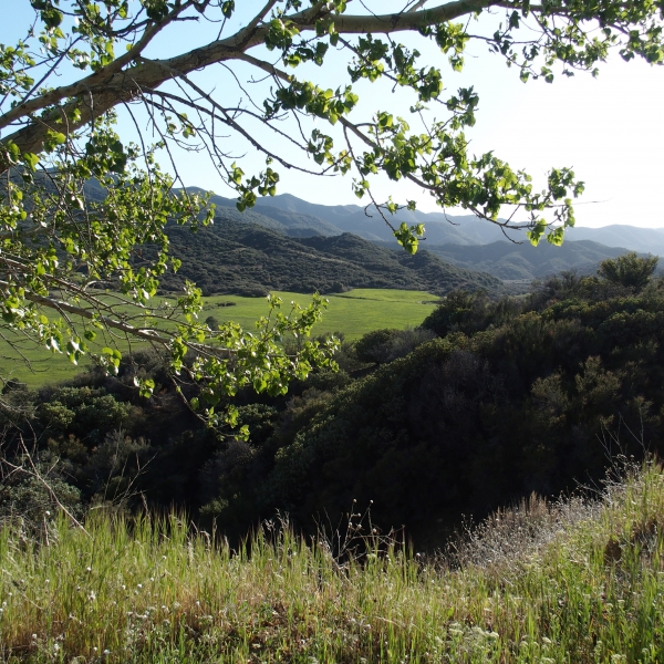 Photo Gallery - OJai - Hwy 33 - Lockwood Valley - Los Angeles ...